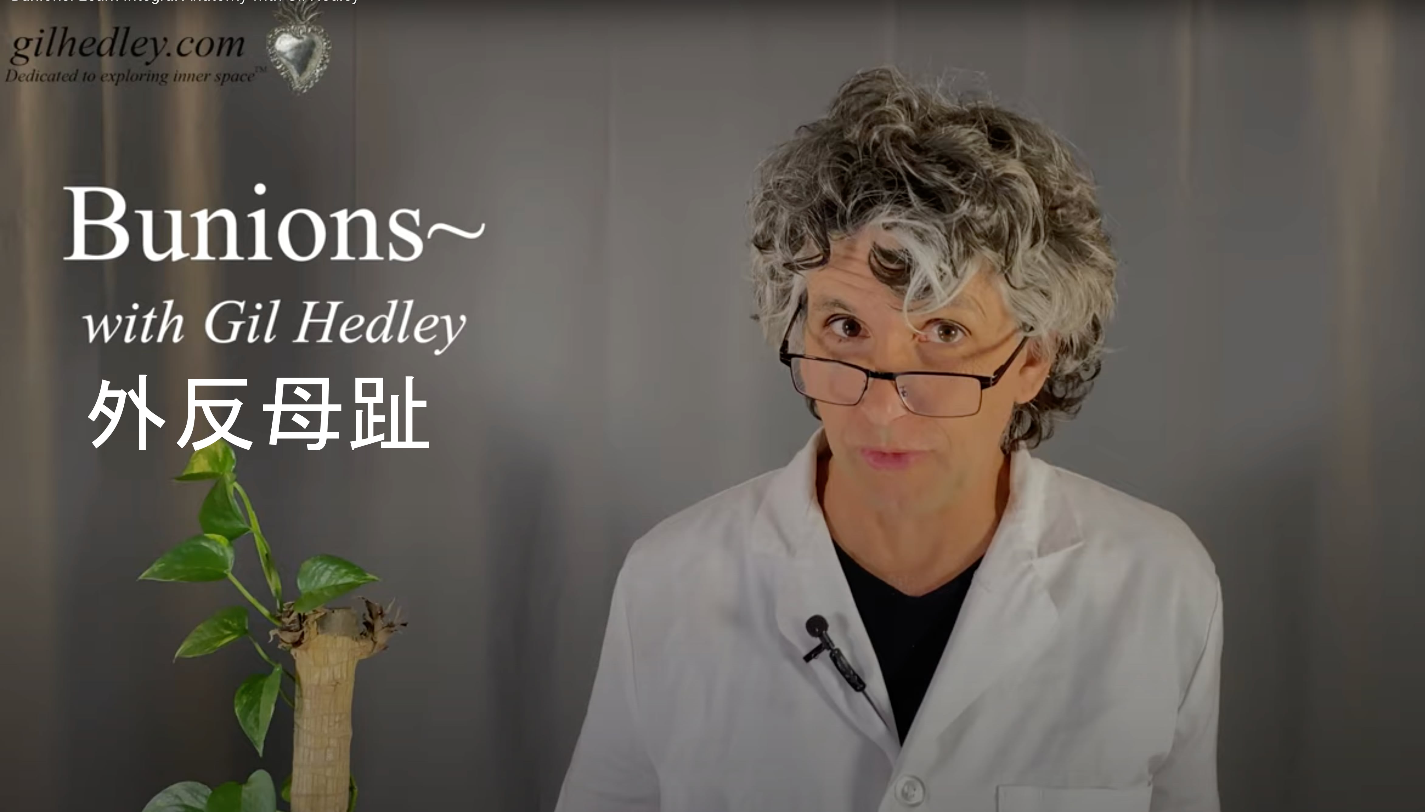 外反母趾：ギル・ヘドレー博士と統合解剖学を学ぶ – 解剖実習のすすめ